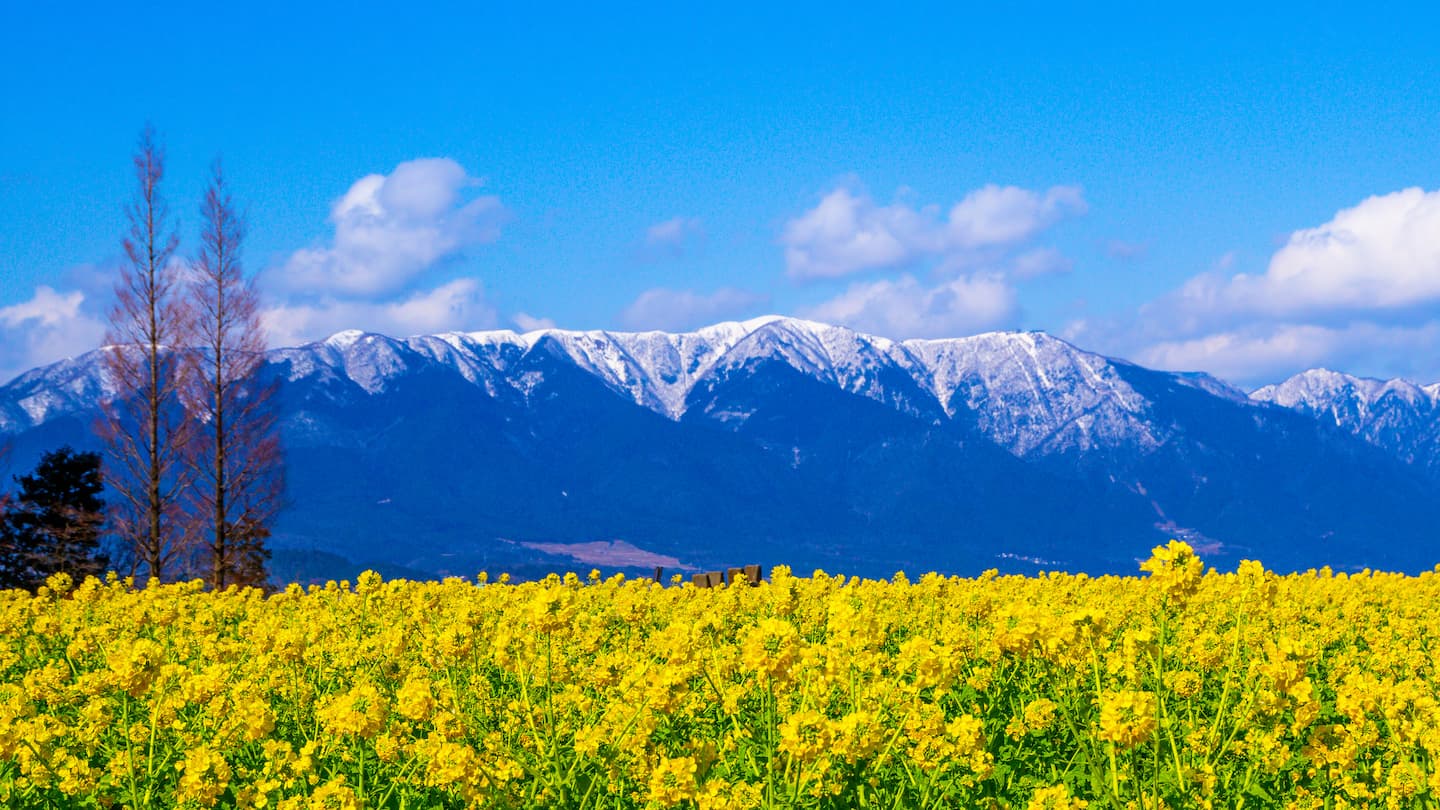 守山観光で外せないおすすめスポット13選！モデルコースも紹介 | NEWT（ニュート）